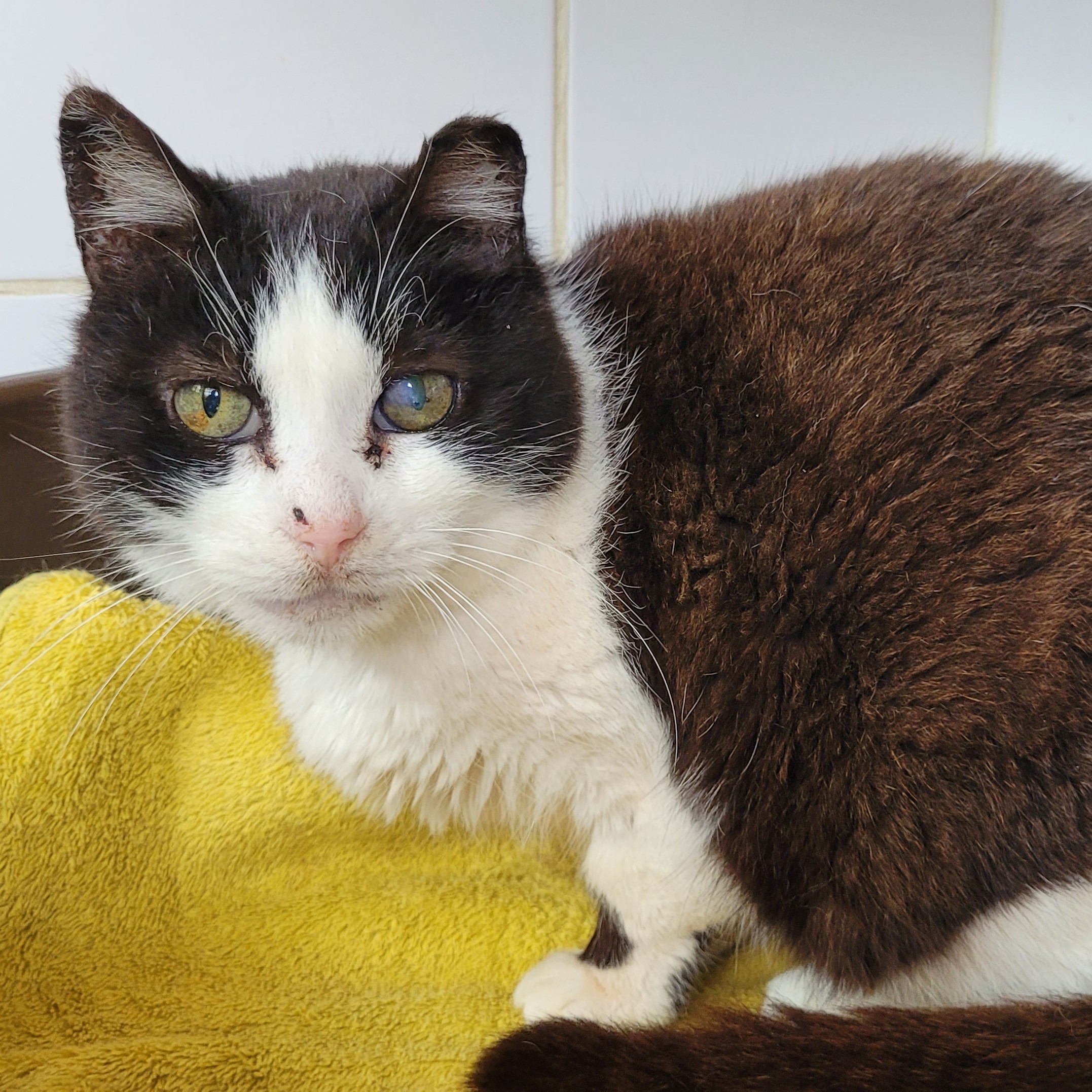 Alicante - L'École du Chat Libre du Parisis